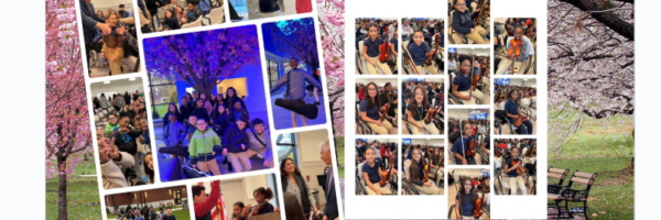 Homepage - Park Elementary